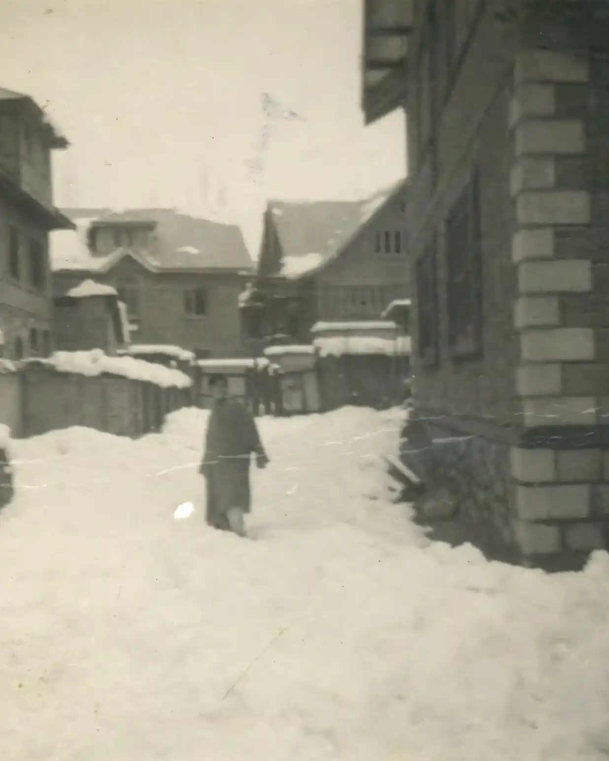 An Exclusive Excerpt From Priyanka Mattoo’s Spirited Memoir ‘Bird Milk ...